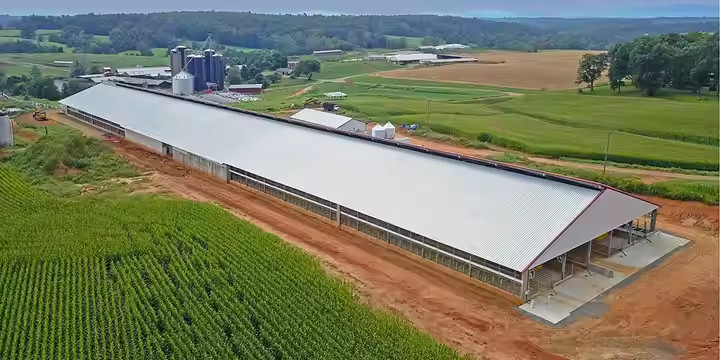 Steel Structure Cow House Design Cow Farm House Farm Shed Steel ...