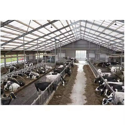 Steel Structure Cow House Design Cow Farm House Farm Shed Steel ...